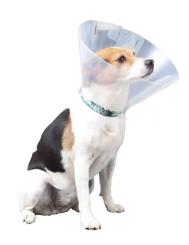 Vetnordic | Halskragen Click’N Fast, Größe 10 cm, 10 St